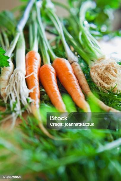 맛있는 유기농 채소 육수를 요리하기위한 신선한 어린 야채 재료 당근 파슬리 뿌리 부추 셀러리 셀러리 딜 파스닙 등 모든 수프의 기본 건강관리와 의술에 대한 스톡 사진 및