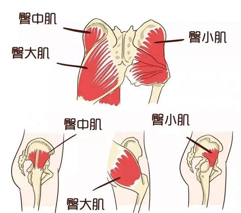 5种臀型及改善方法