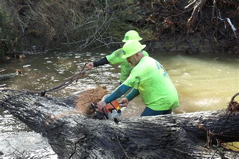 Hazardous Tree Removal Bunyon Bros Tree Service