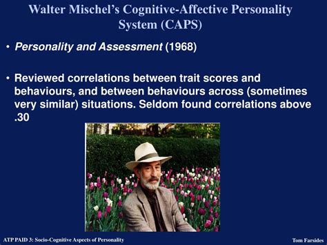 Ppt Socio Cognitive Aspects Of Personality Powerpoint Presentation Free Download Id502092