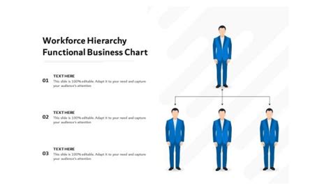 Workforce Hierarchy Functional Business Chart Powerpoint Templates