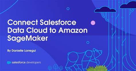 Connect Salesforce Data Cloud To Amazon Sagemaker Salesforce