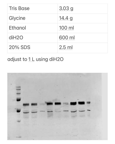 Western Blot Running Buffer 10x Recipe Pdf
