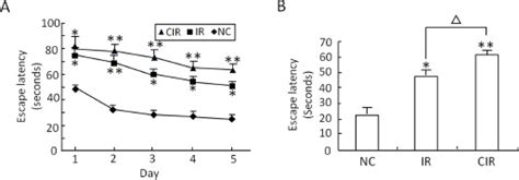The Escape Latency Time In Morris Water Maze Test Of The Rats Compared Download Scientific