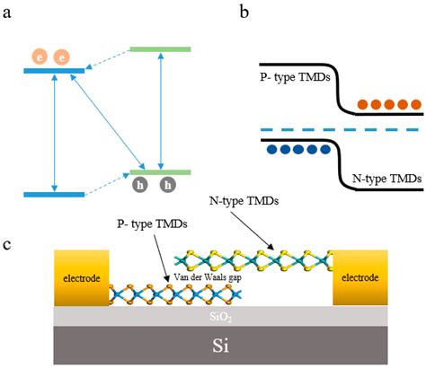 Heterojunction Field Effect Transistor At Sienna Deeming Blog