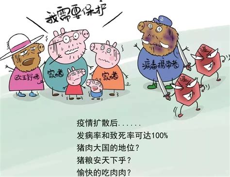 周知！非洲猪瘟不传人！这些科普知识你需要知道~韶关发布