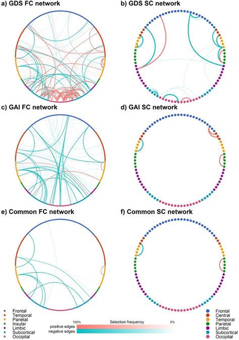 Connectograms Showing The Frequency Of Selected A Functional And B Download Scientific