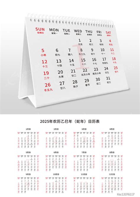 2025蛇年日历挂历模板设计图片下载红动中国