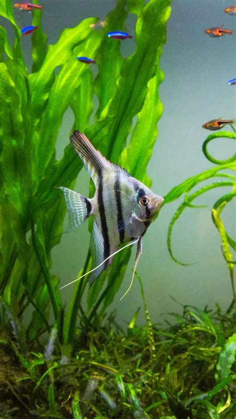 6 Health Benefits Of Ear Massage That Will Force You To Do It The Right