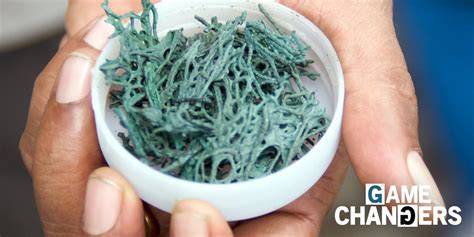 Algae Is The Superfood Of The Future Business Insider