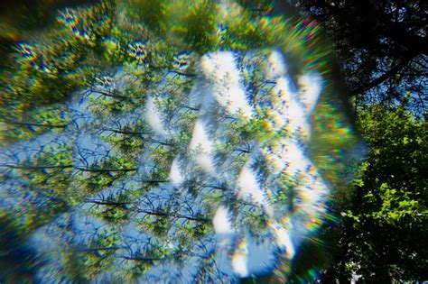 999 Parallax Effect Pictures Download Free Images On Unsplash