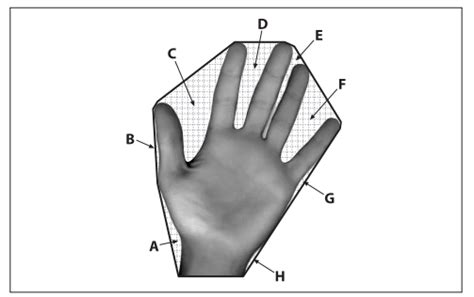 Opencv Best Features To Extract For Hand Posture Recognition Stack