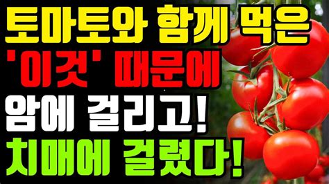 토마토와 절대로 함께 먹지마세요🍅 암과 치매에 걸릴 수 있습니다 토마토 함께 먹으면 보약되는 음식 3가지와 만성 염증과 암세포 독소 싹 빼주는 최고의 레시피 효능 건강