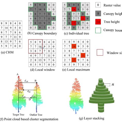 a schematic diagram of four individual tree segmentation methods a download scientific