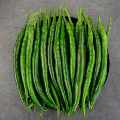 High Yield Pepper Seedlings Pepper Seedlings Sharp Pepper Seedlings