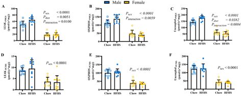 Mitochondrial Respiration Measured By Oroboros O2k A D O2 Download Scientific Diagram