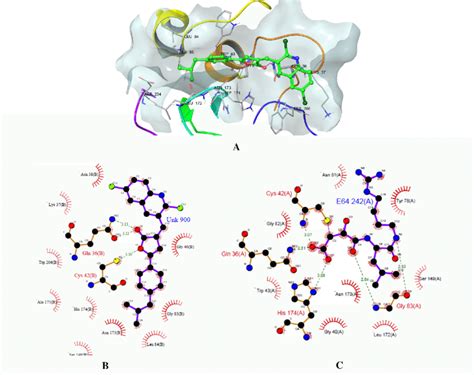 Binding Pose Of Ligands A Reference Ligands Binding Pose Obtained From
