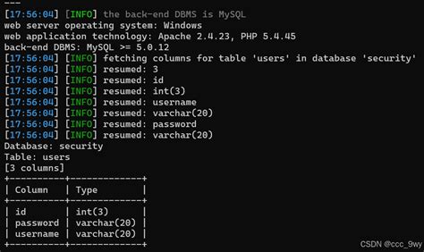 Sql Labs靶场第十关测试报告sqlilabs第十关 Csdn博客 Sql Labs靶场第十关测试报告sqlilabs第十关 Csdn博客