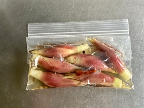 淡いピンクがきれいな副菜。みょうがの甘酢漬けのレシピ・作り方 ゆきの家飲み料理