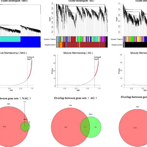 Gene Expression Features And Core Gene Mining In Gc Tissues A Degs Download Scientific