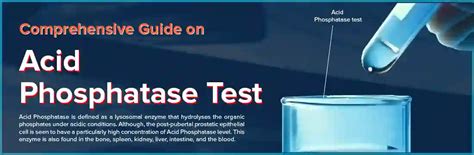 Comprehensive Guide On Acid Phosphatase Test Ganesh Diagnostic