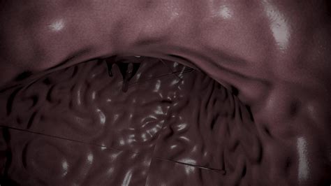 Loona Endoscope Exploration Pov Vore Animation