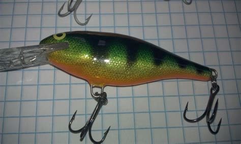 Mid To Late 00s Perch Note The Scale Pattern And The Deeper Colors