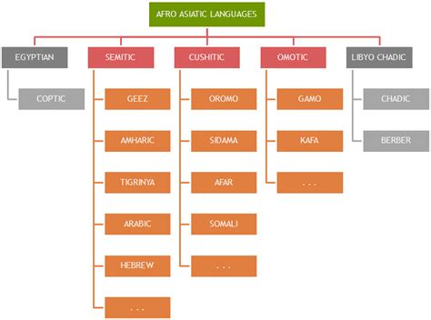 Ethiopian Languages
