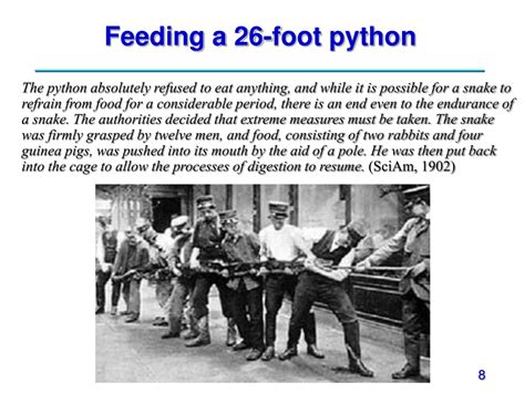 ppt introduction to scripting languages concepts powerpoint