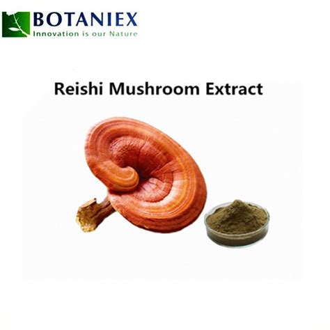 Ganoderma Lucidum Lingzhi Reishi Mushroom Extract Polysaccharide Passed Haccp Gmp Iso9001