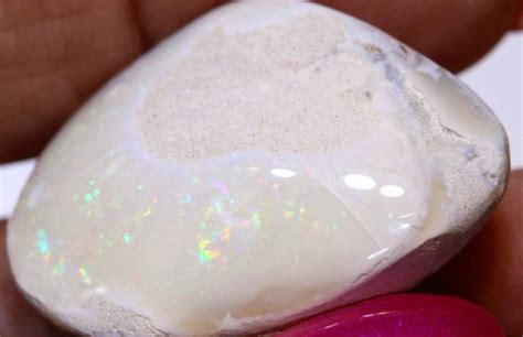 43 7 Cts Opalised Fossil Clam Shell Fo 956 Clam Shell Shells Fossil