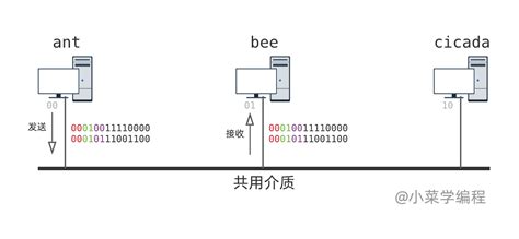 小菜学网络数据链路层概述 fasionchan 博客园