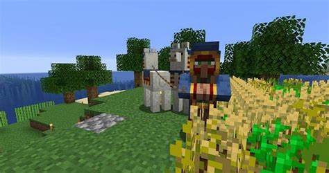 Where To Get Slimeballs In Minecraft