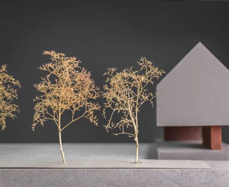 Architectural Model Tree Ideas Architectural Model Tree Ideas
