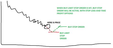 Need Script That Will Place New Pending Orders An Order To Develop The Script At Mql5