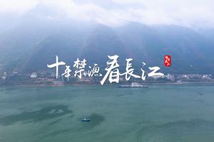 十年禁渔看长江 人民视频 人民网