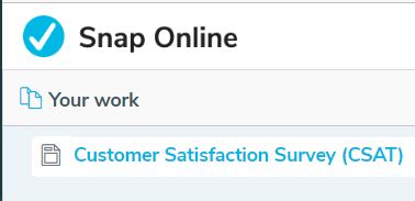 Customer Satisfaction Survey CSAT Guide SnapSurveys