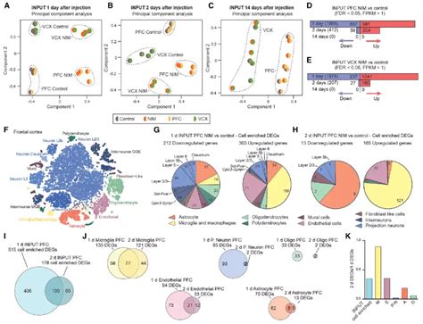 Cell子刊：再谈炎症！聚焦炎症诱发抑郁模型大脑皮层星形胶质细胞的分子和功能特性 知乎