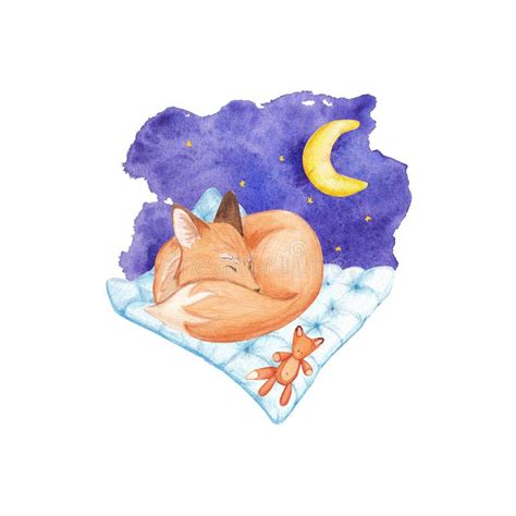 Sleeping Fox Sketch Stock Illustrations 184 Sleeping Fox Sketch Stock Illustrations Vectors