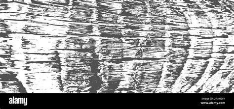 Grunge Coconut Palm Bark Texture Background Adged Tree Stem Log Vector Stock Vector Image