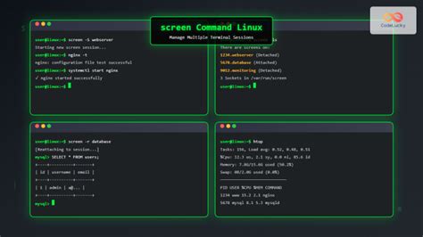 Vncserver Command Linux Complete Guide To Vnc Server Setup And