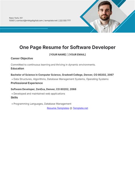 Free One Page Resume For Software Developer Template To Edit Online