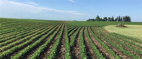 Row Flow Precision Maxx