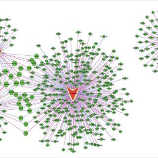 Coding Non Coding Gene Co Expression Network CNC Network Was Download Scientific Diagram