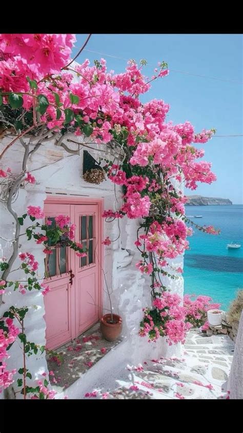 Хятад улсаас үйлдвэрийн үнээр захиалах