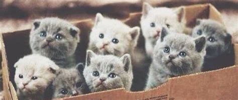 Welcome StimulusReflex