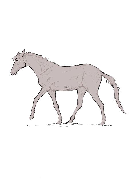 Ftu Horse Base Old On Toyhouse