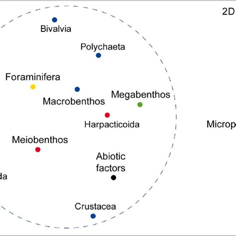 Correspondence Among The Spatial Distribution Patterns Between Size Download Scientific Diagram