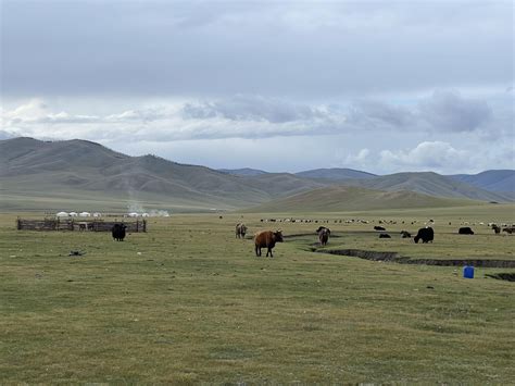 Ээжийн Цагаан Идээ Ulaanbaatar