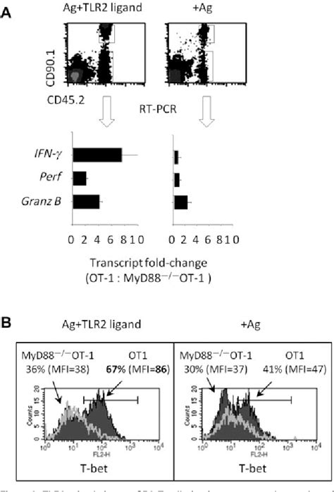 Figure From When Toll Like Receptor And T Cell Receptor Signals Collide A Mechanism For